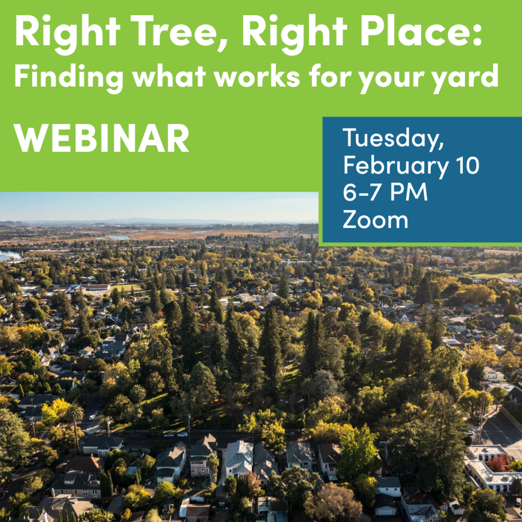 Right Tree, Right Place: Webinar - Napa County RCD